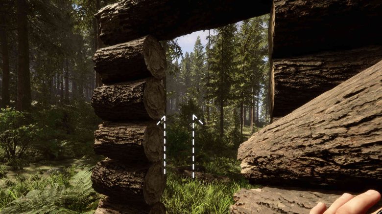 Sons Of The Forest Tor Bauen